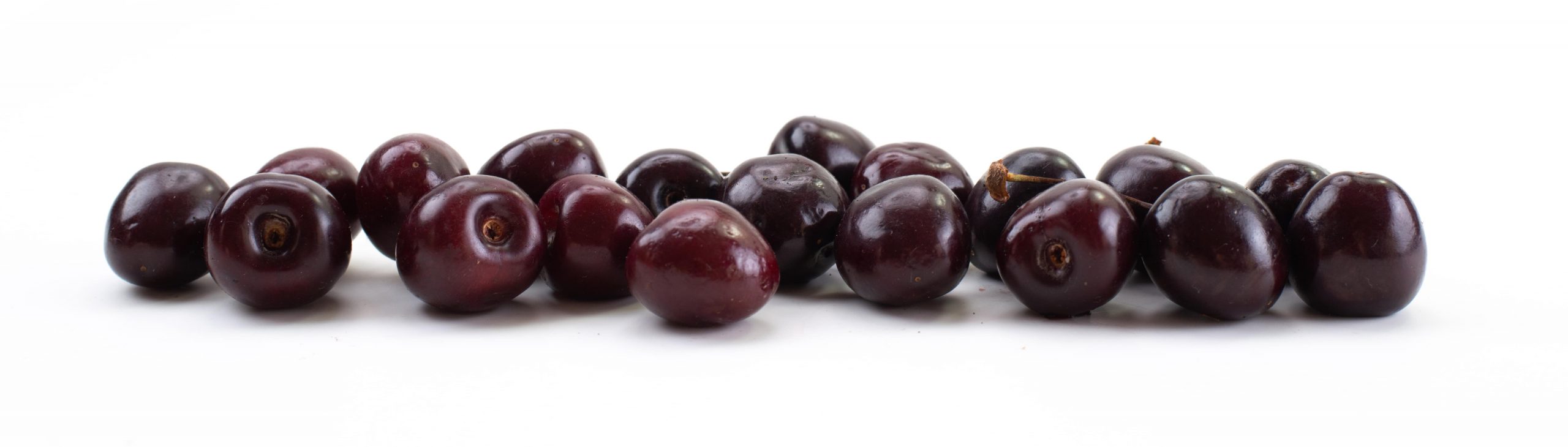 Cireșe amare 2024 - Livada de Ciresi Amari